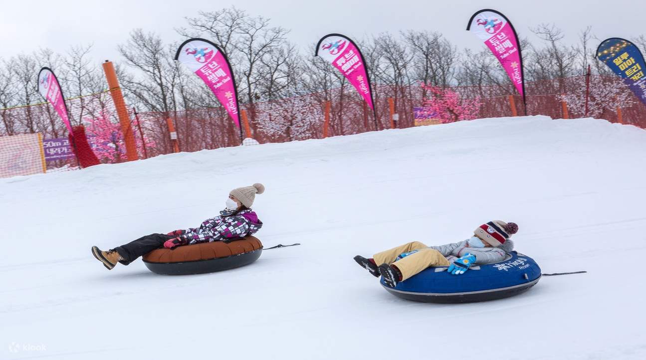 High1 Ski & Snow Experience Day Tour Departing from Seoul - Klook Singapore